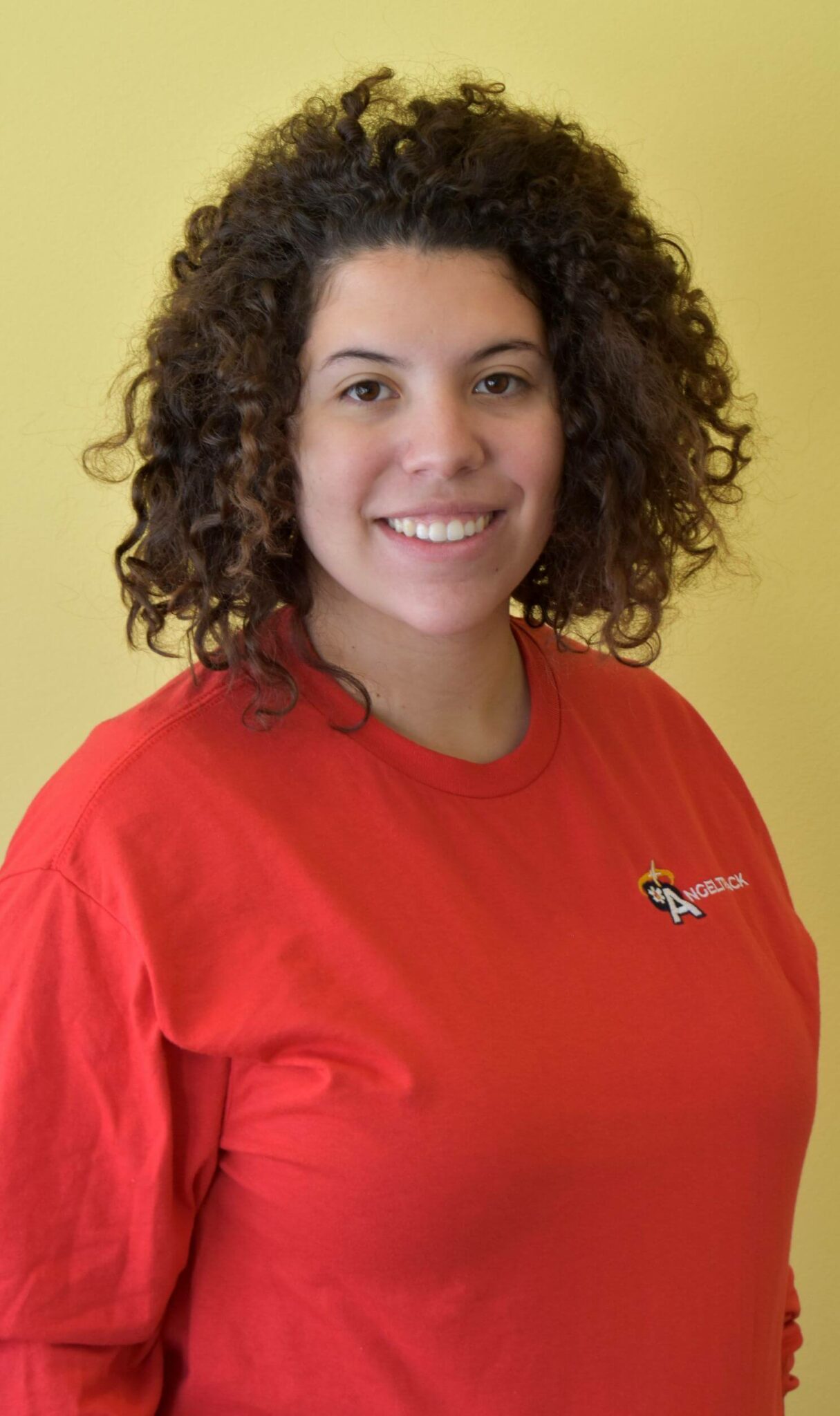 Meet the AngelTrack Team - AngelTrack